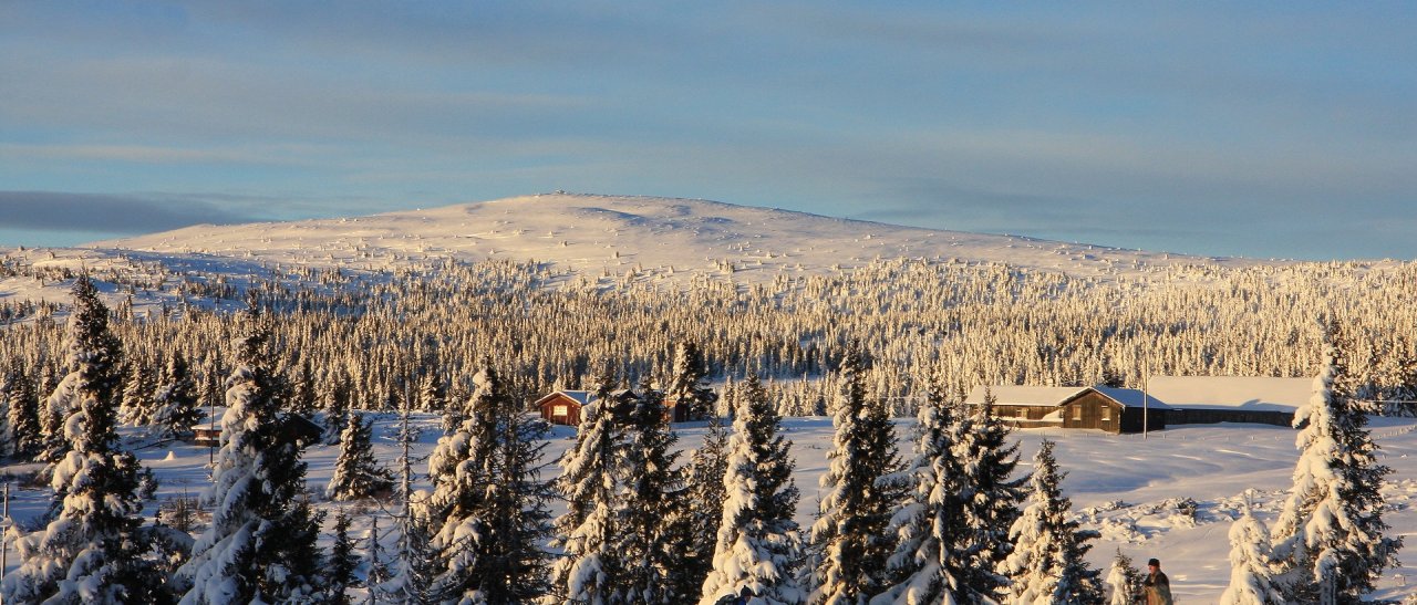Sjusjoen-Nordseter, Norwegen / Sandozconcept - Winterreisen weltweit